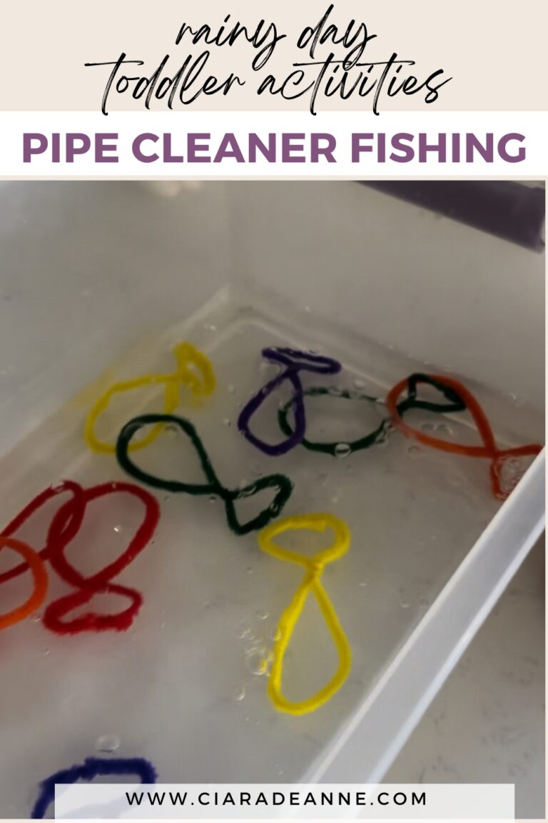 Pipe Cleaner Fishing Activity for Toddlers - Ciara Deanne